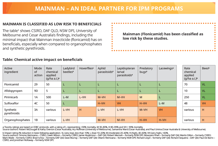 Using MainMan® insecticide during flowering in Canola | UPL