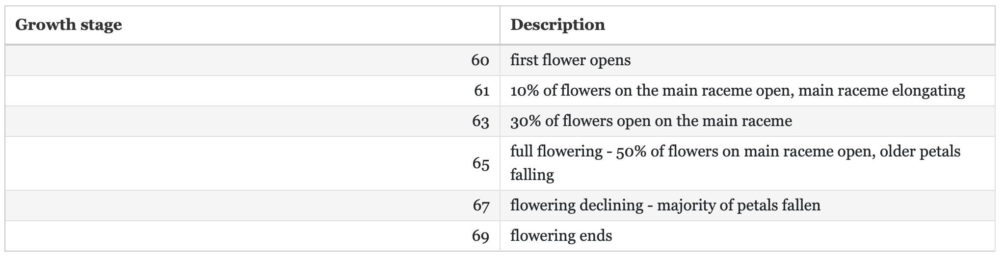 Using MainMan® insecticide during flowering in Canola | UPL